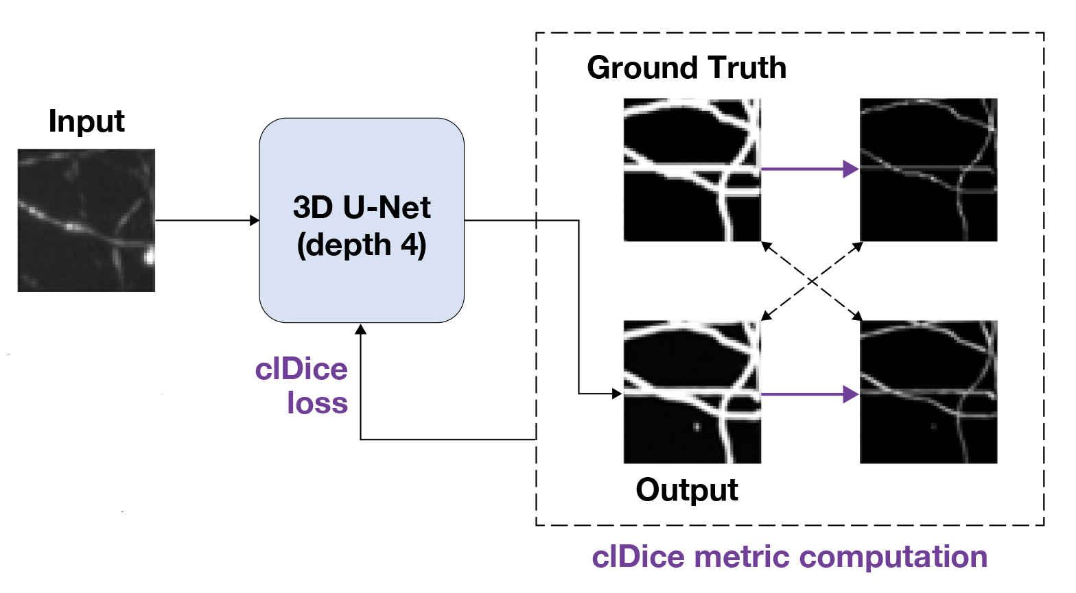 Improving Axon Tracing and Centerline Detection to Study the Brain | MIT Lincoln Laboratory